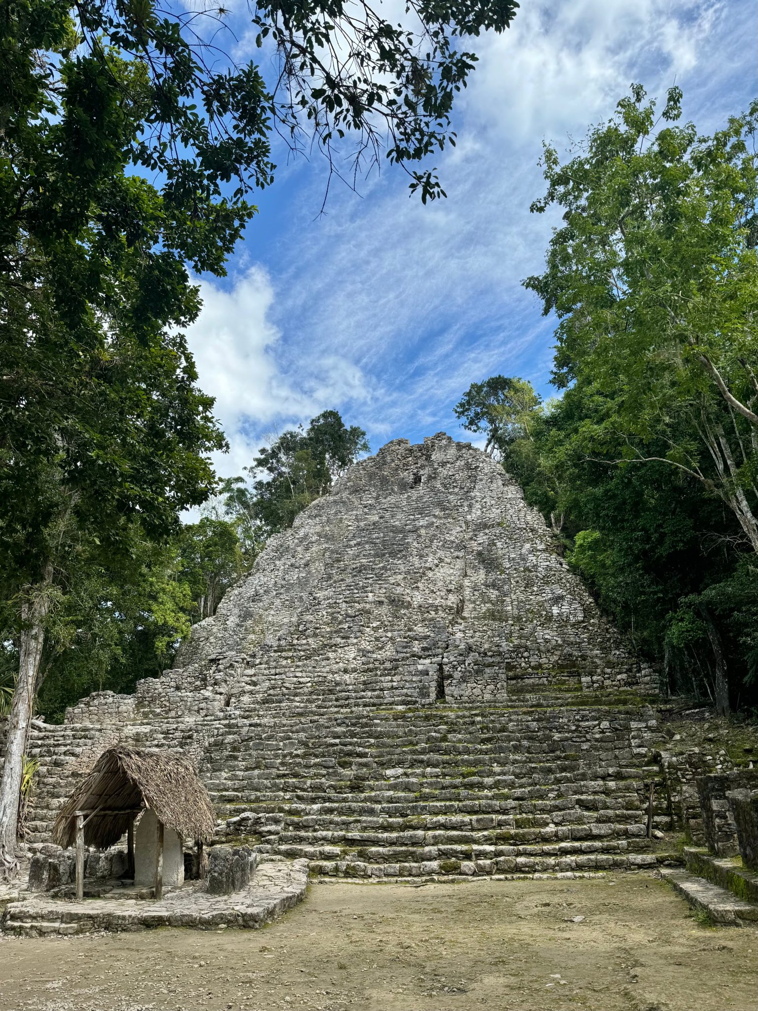 Birding Tours in Tulum, Mexico: Where the Jungle Meets the Sea!