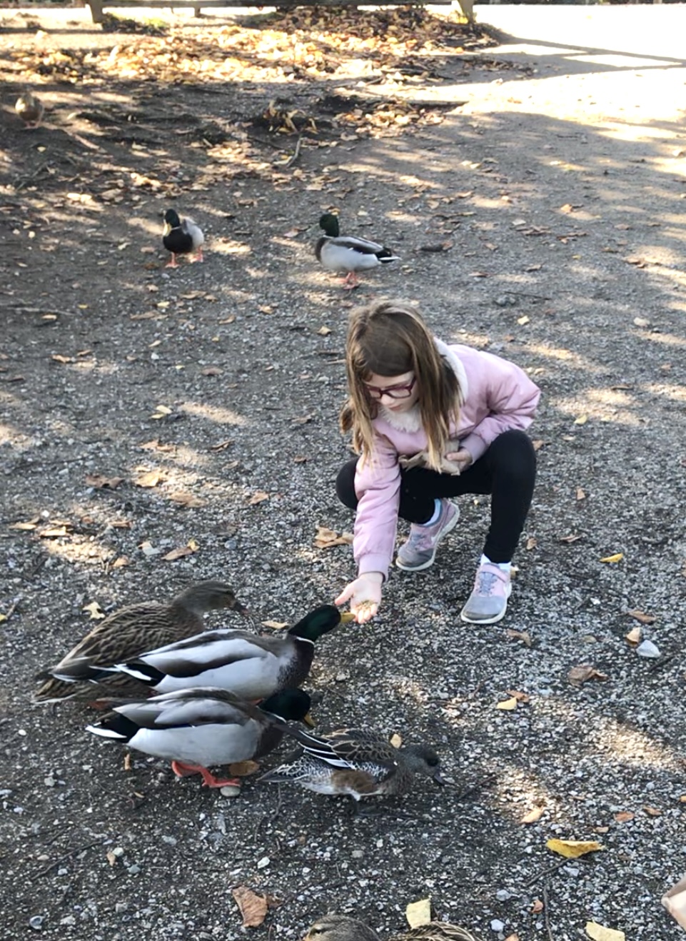 Exploring Reifel Bird Sanctuary